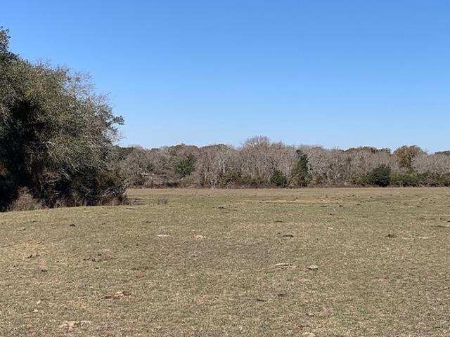 Tbd County Road 253, Weimar, TX 78962