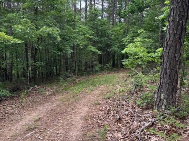 Tbd County Road 272