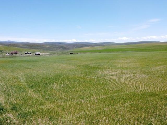 Tbd County Road 29, Craig, CO 81625