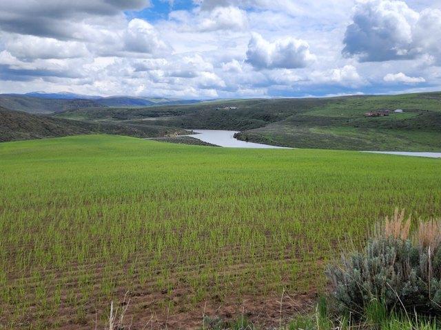 Tbd County Road 29, Craig, CO 81625