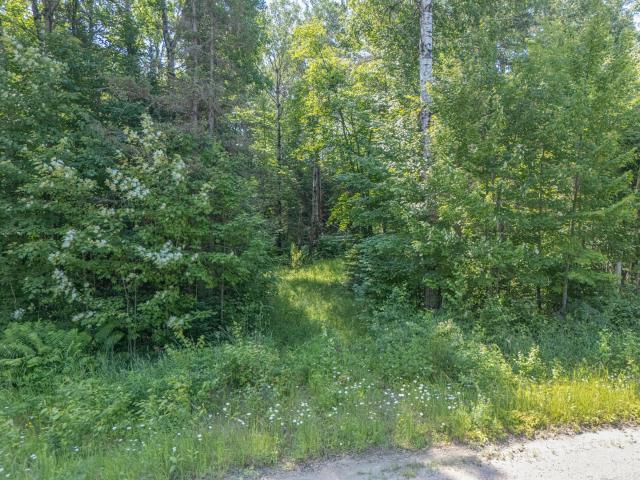 TBD County Road 308