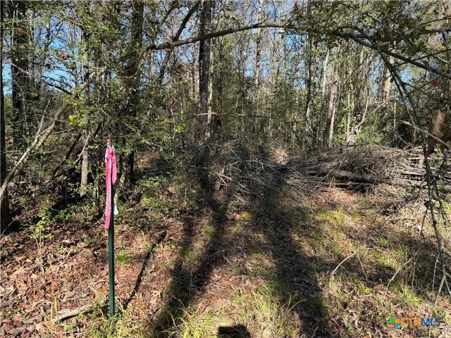 TBD County Road 301 Tract 7