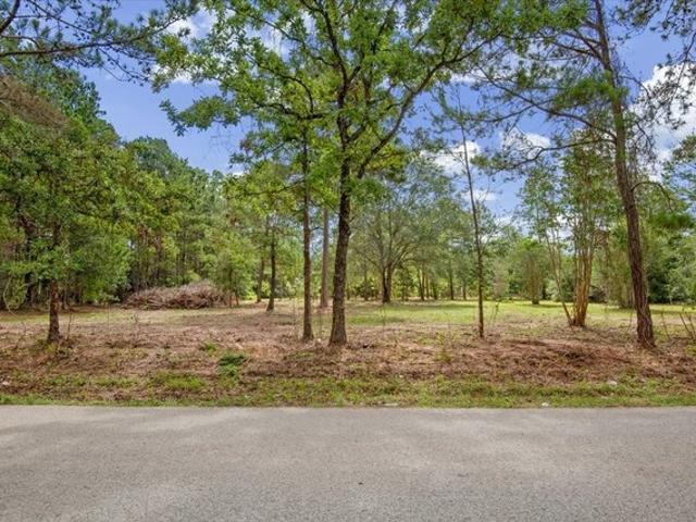 Tbd County Road 302 Lot 4, Plantersville, TX 77363