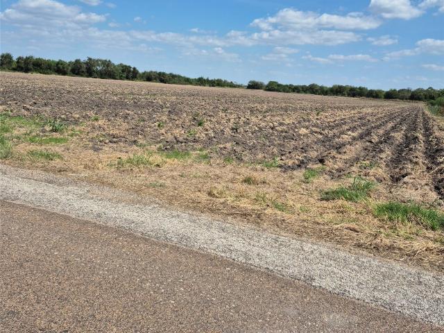 TBD County Road 303