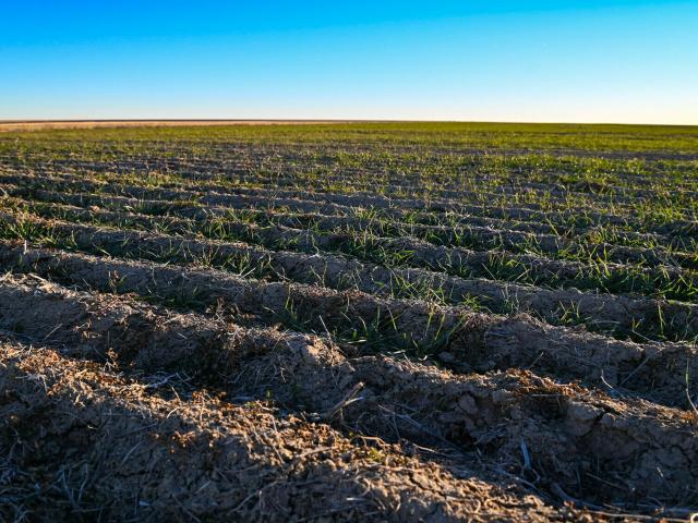 TBD County Road 30, Haswell, US, CO