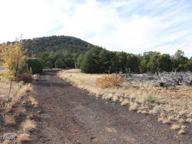 TBD County Road 3140