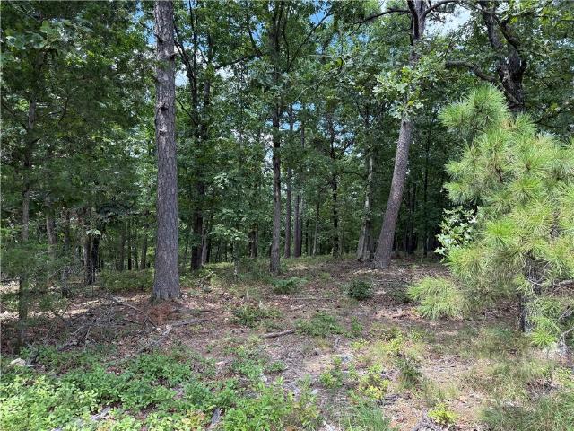 TBD County Road 315