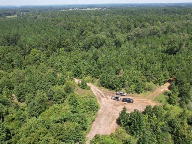 TBD County Road 3163