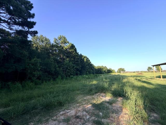 TBD County Road 3114