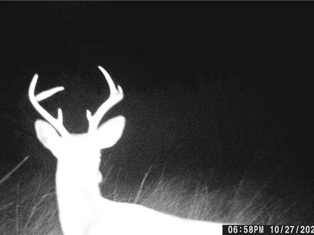 TBD County Road 3270
