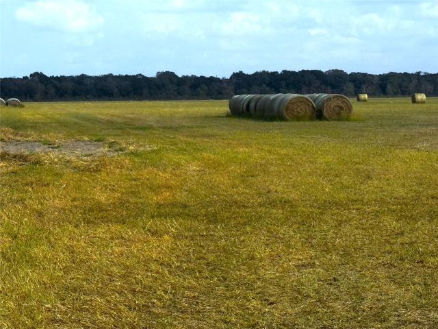 TBD County Road 321