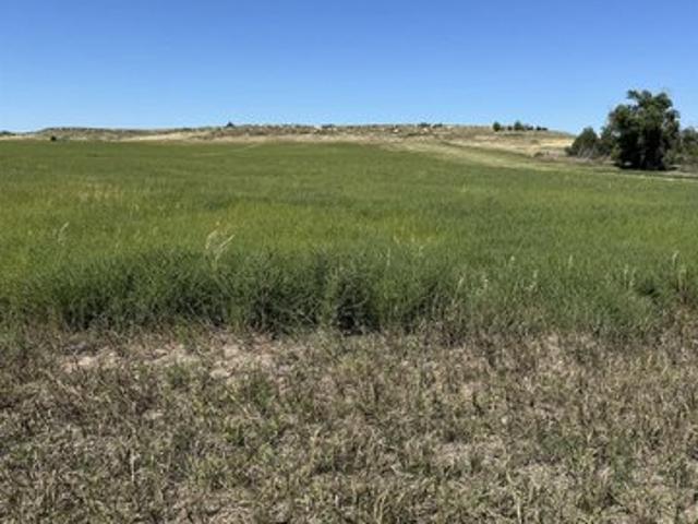 Tbd County Road 32 Lot 4, Potter, NE 69156
