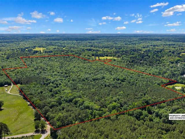 TBD County Road 3361