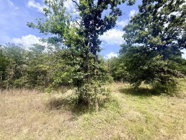 TBD County Road 337