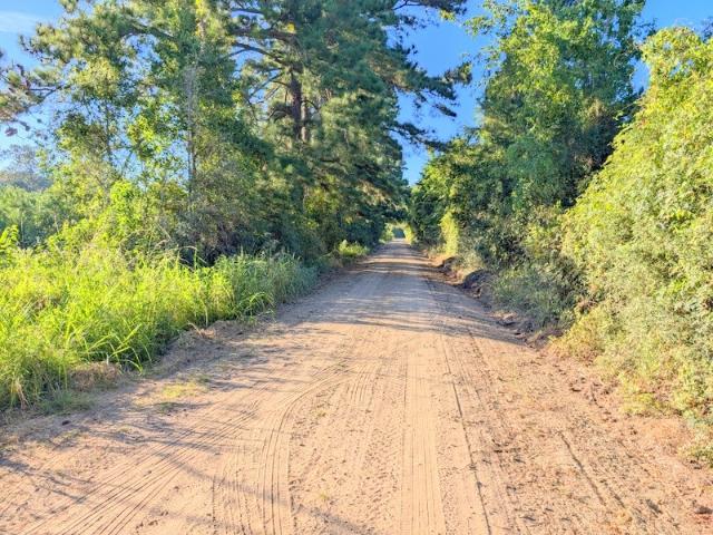 TBD County Road 3385