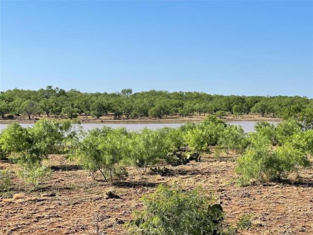 TBD County Road 346 # 211ac
