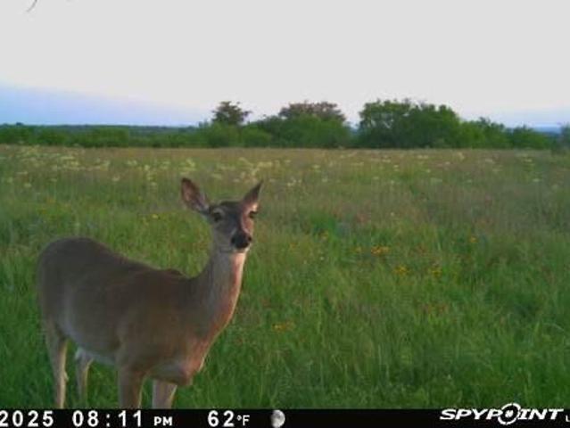 Tbd County Road 343, Dublin, TX 76446 | MLS #21200