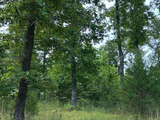 Tbd County Road 355 Lot 19