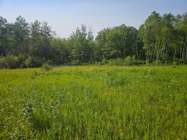 TBD County Road 36