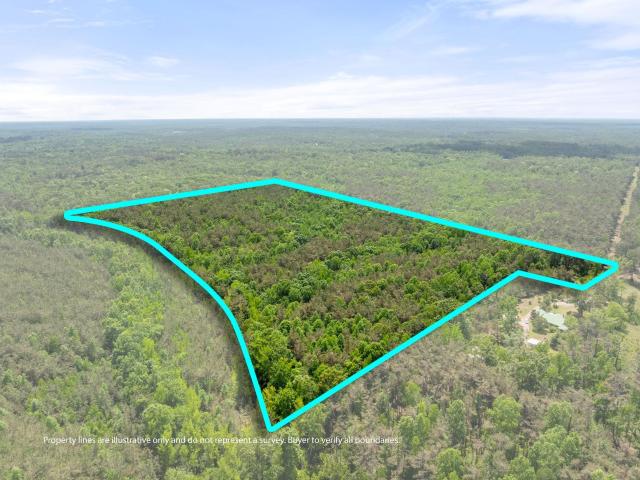 Tbd county road 377 rd