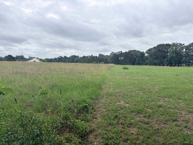 Tbd County Road 401 Lot 2, Henderson, TX 75654