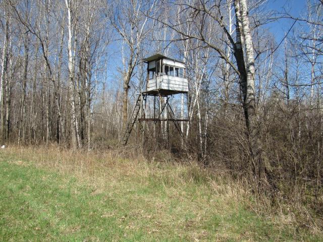 TBD County Road 41