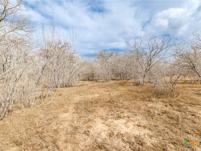 TBD County Road 424