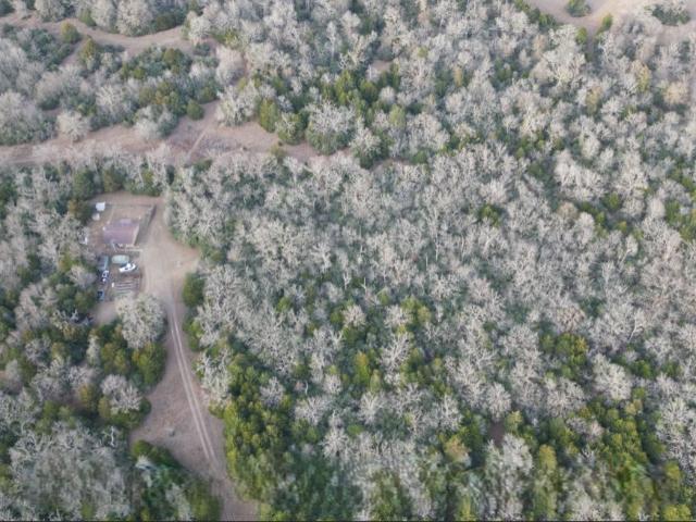 TBD County Road 427