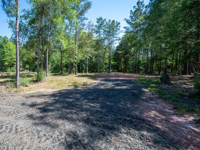 Tbd County Road 4472