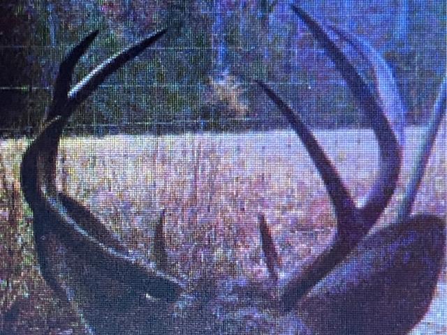 TBD County Road 482
