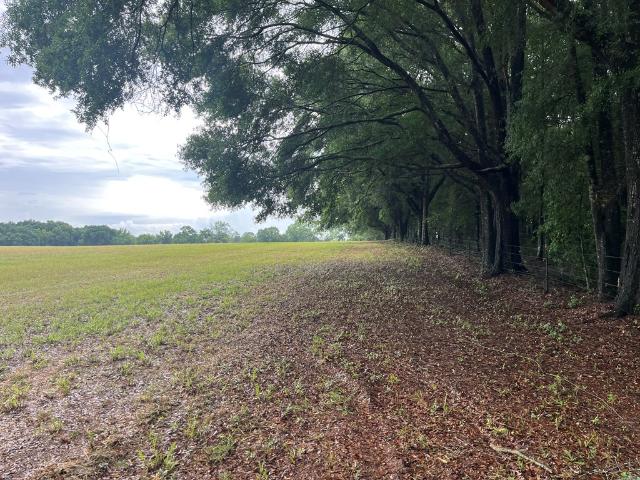 TBD County Road 49