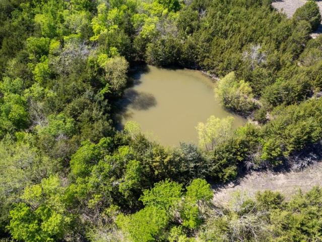 TBD County Road 5020 Road # OF