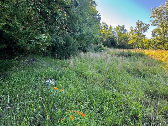 TBD County Road 51