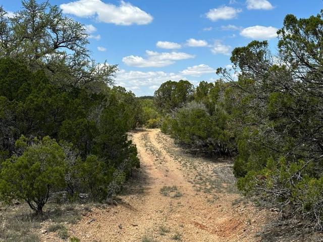 TBD County Road 529