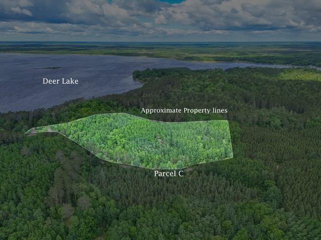 Tbd County Road 533 Lot C, Effie, MN 56639