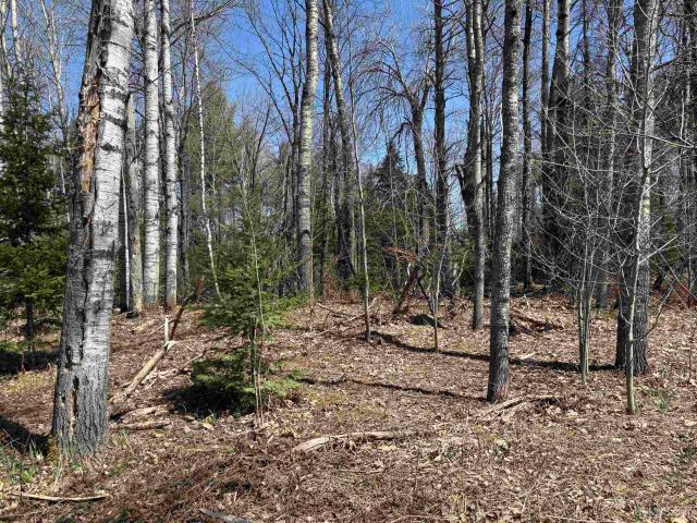 TBD County Road 581 Road