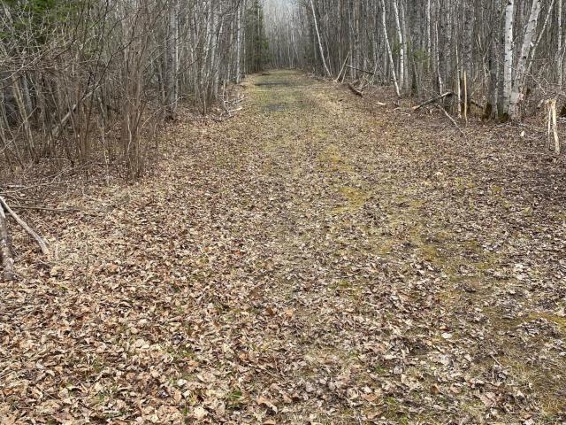 Tbd county road 79