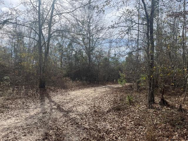 TBD County Road 99