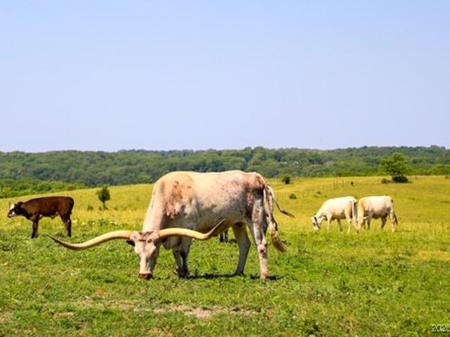 TBD County Side Road