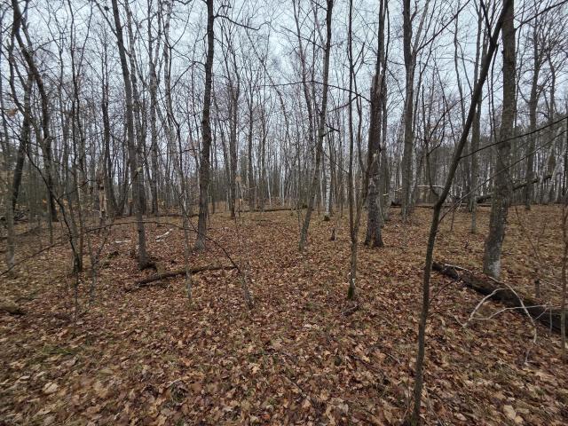 TBD County 11