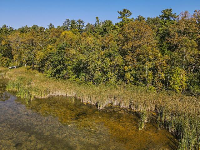 TBD County 39