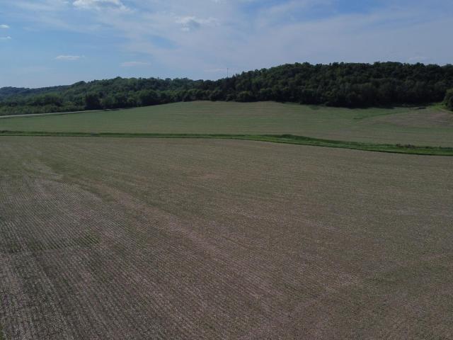Tbd County 5 Boulevard