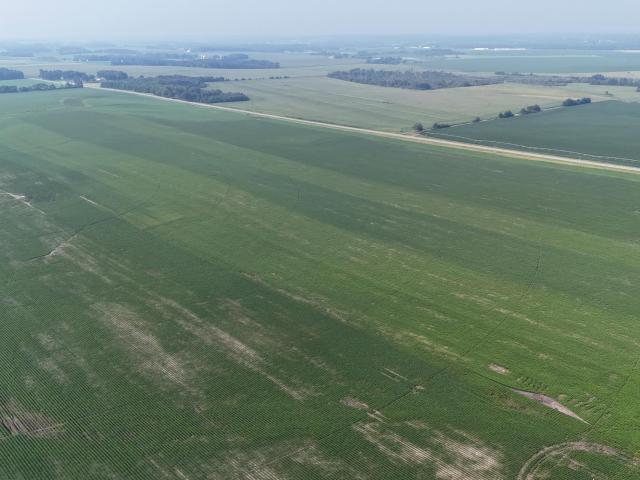 TBD County 61