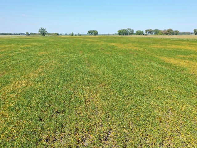 TBD County 8
