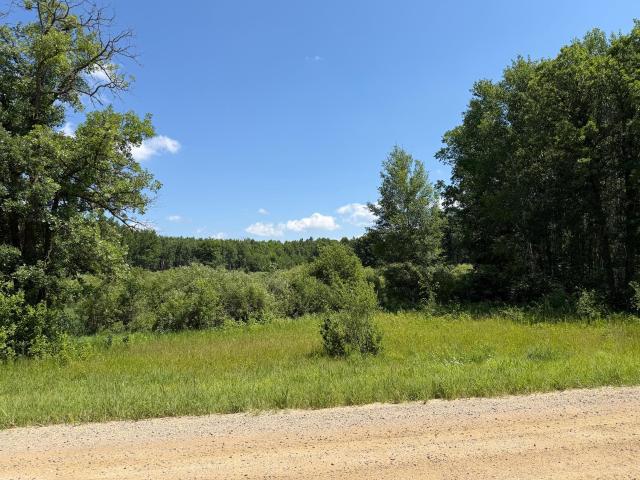 TBD County 95