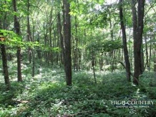 Tbd Country Ridge Rd Lot 23, Jefferson, NC 28640