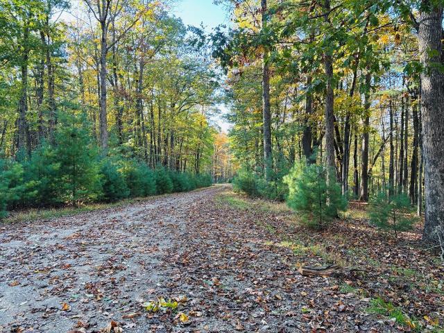 TBD Cove Lane