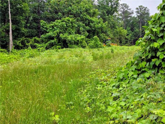 TBD Cowart Mountain Tract 2 Road