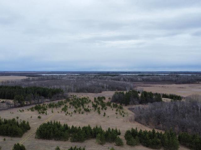 TBD Co Hwy 37