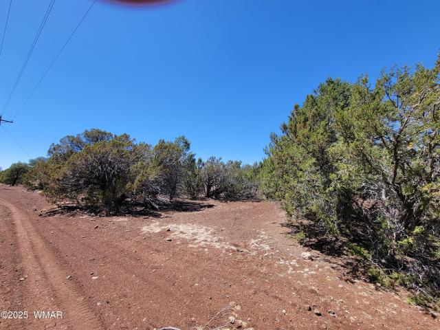 TBD Co Rd 3113